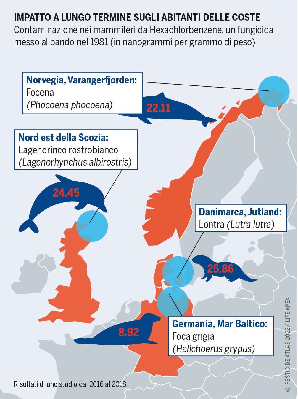Acque, trasportati dalla corrente | Heinrich Böll Stiftung | Paris ...