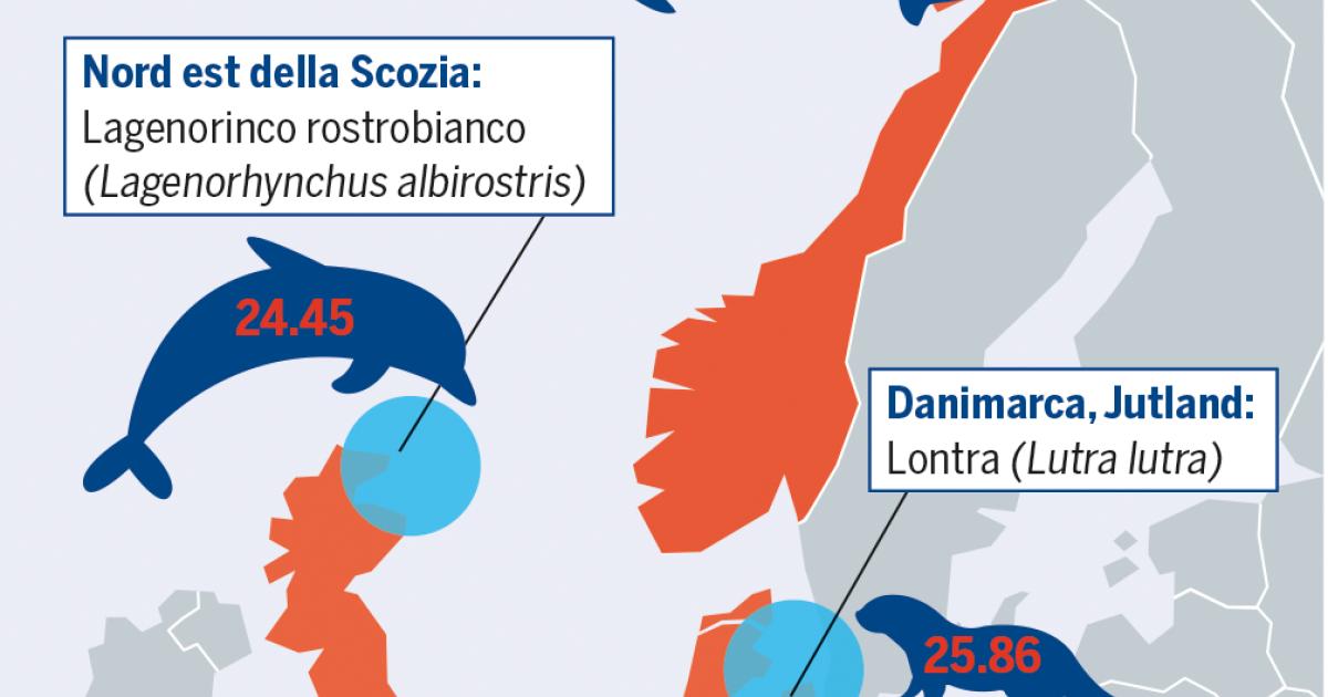 Acque, trasportati dalla corrente | Heinrich Böll Stiftung | Paris ...