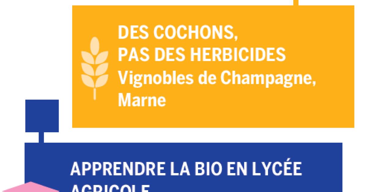 apprendre-la-bio-en-lyc-e-agricole-heinrich-b-ll-stiftung-bureau